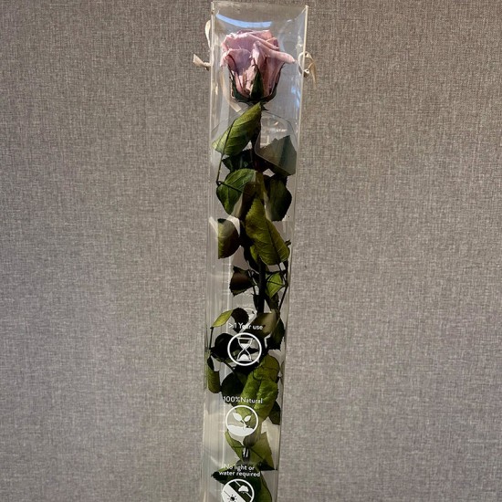 Rosa preservada color malva | Floristería Viserchi